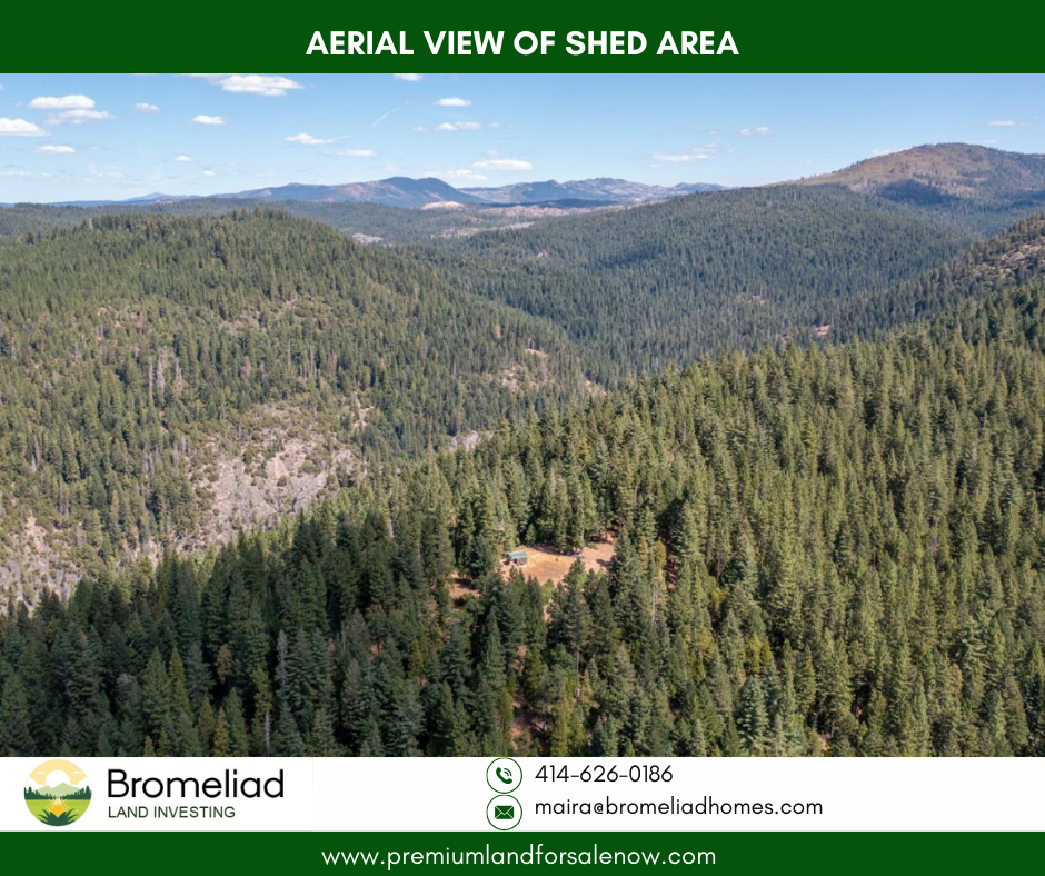 Timberland and Off-Grid Mountain Living with Well & Shed - Only $220,000